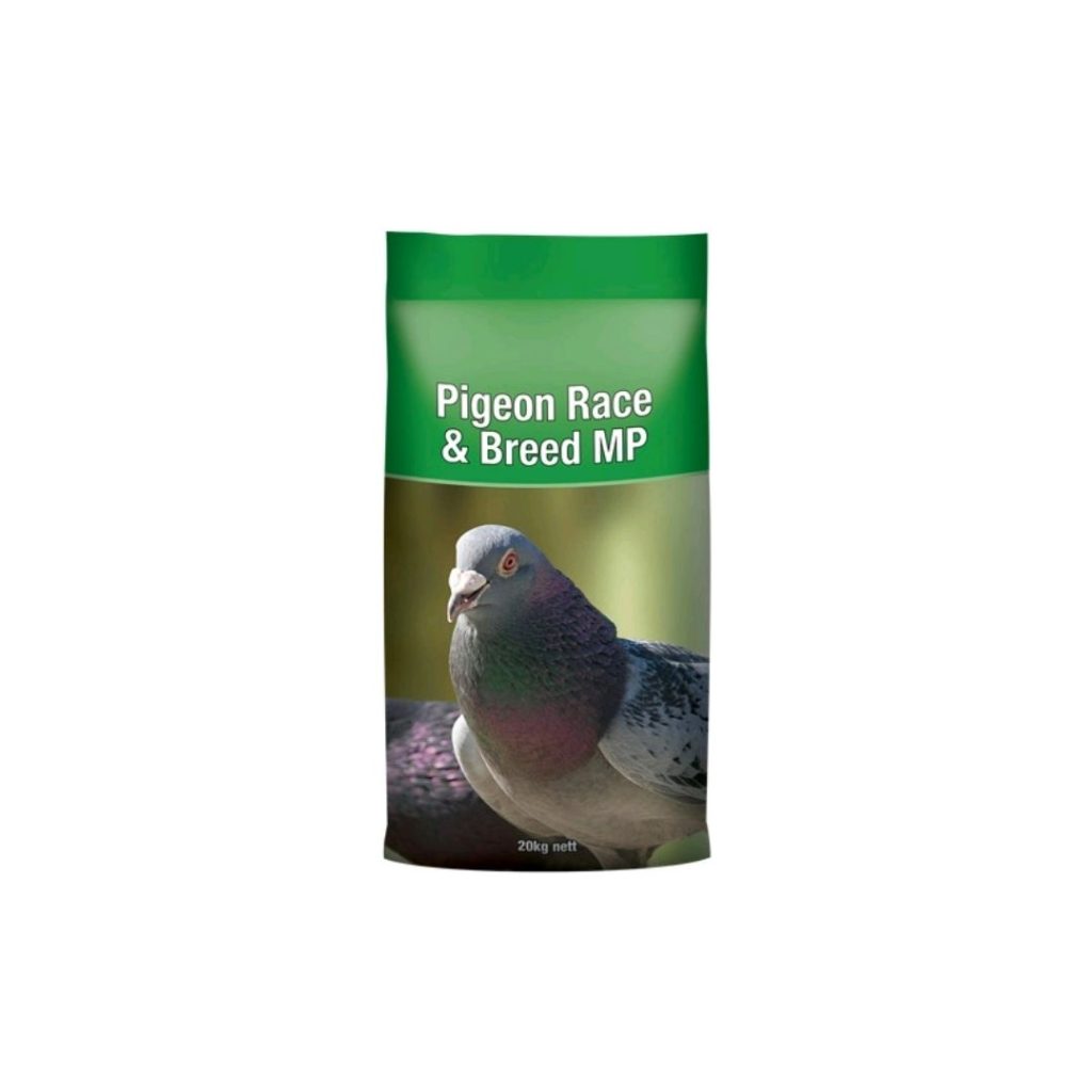 Laucke Pigeon Race and Breed MP - Tarameade